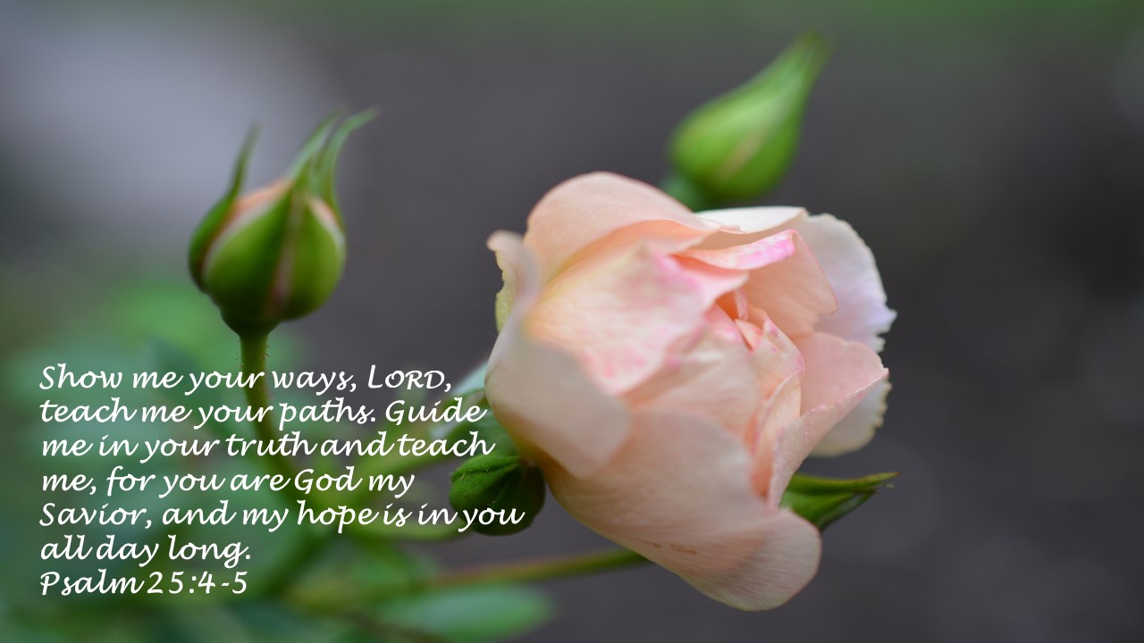 Psalm 25: 4-5 – Nature and Life Notes